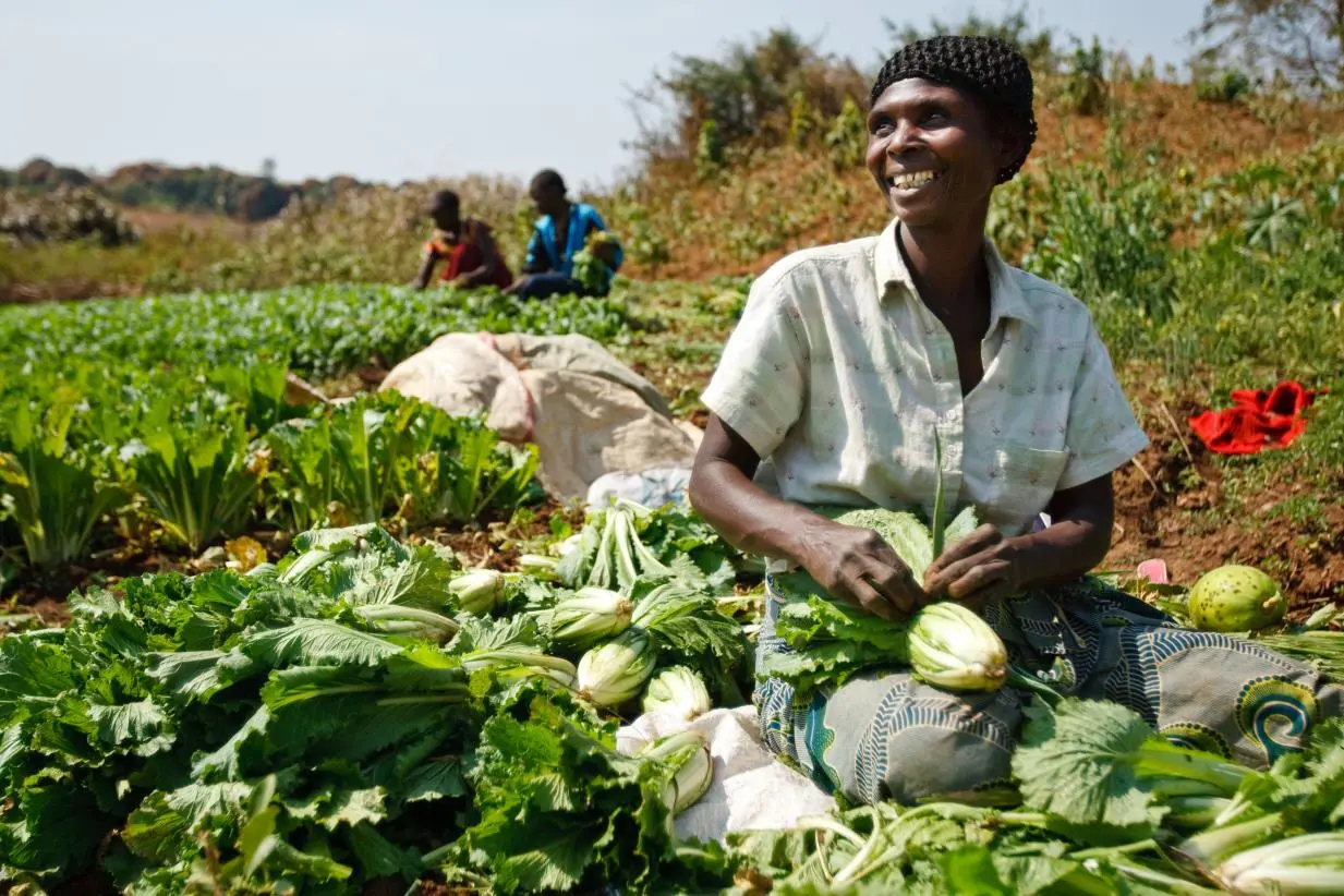 FAO-Led GEF Projects: Advancing Sustainable Agrifood Systems and ...