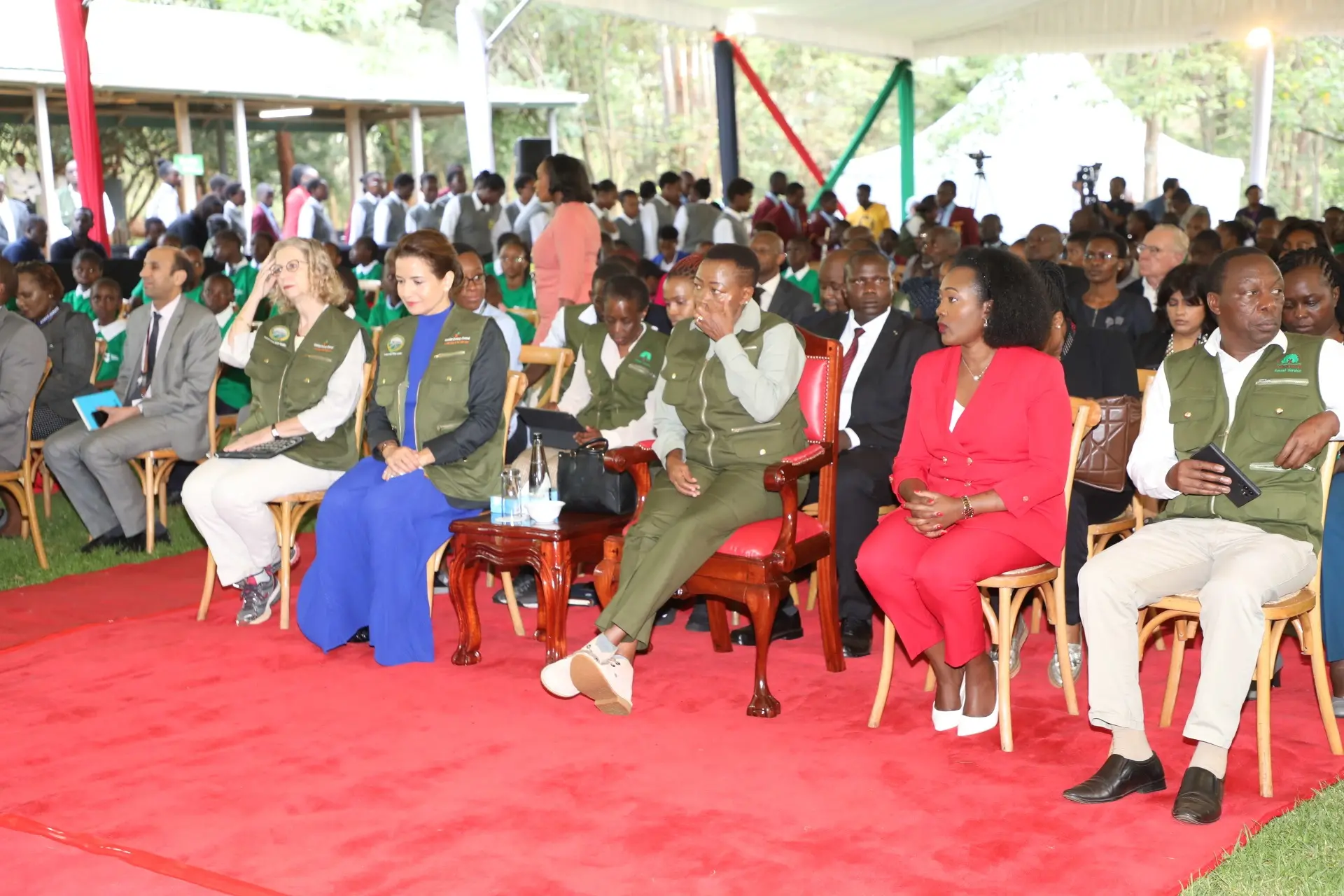 Nature Based Solutions Addressing Climate Crises Through Financing And