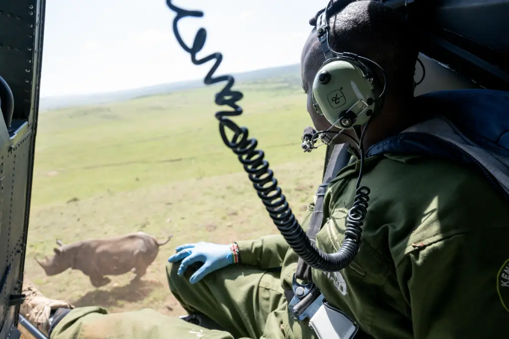 Kenya's Rhino Conservation Triumph: The Resettlement of Black Rhinos at ...