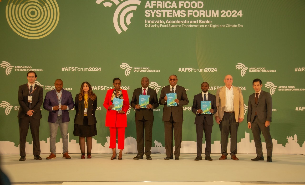 AGRA's 2024 Report Highlights MSMEs as Key Players in Africa's Food ...