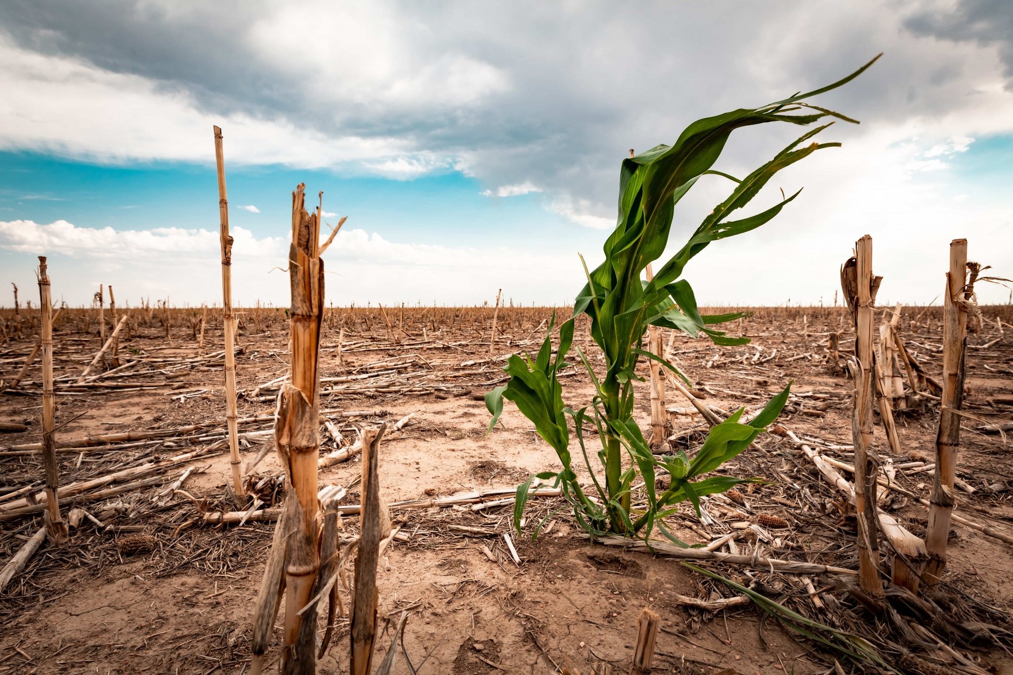 Economic Costs of Climate Change in Africa: Are We Prepared for the ...