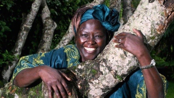Prof Wangari Maathai: A Source of Inspiration and Change - Climate Lens ...