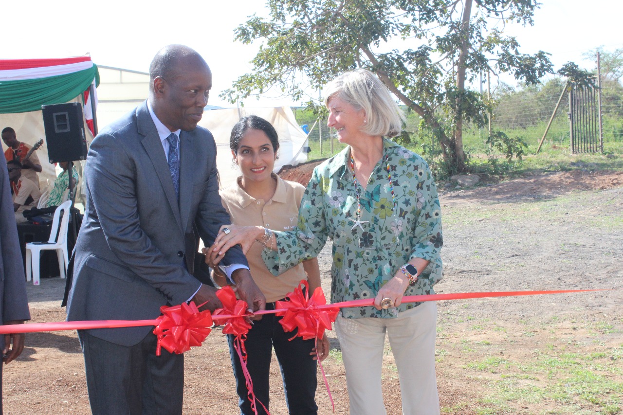 Red Land Roses Blossoms as a Special Economic Zone, Driving Growth and ...